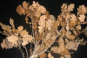 Kolede - Zajednica Makedonaca u Republici Hrvatskoj